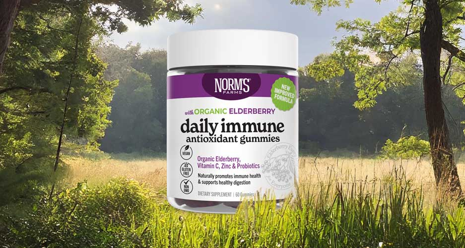 Elderberry and Red + Black Currant Gummies