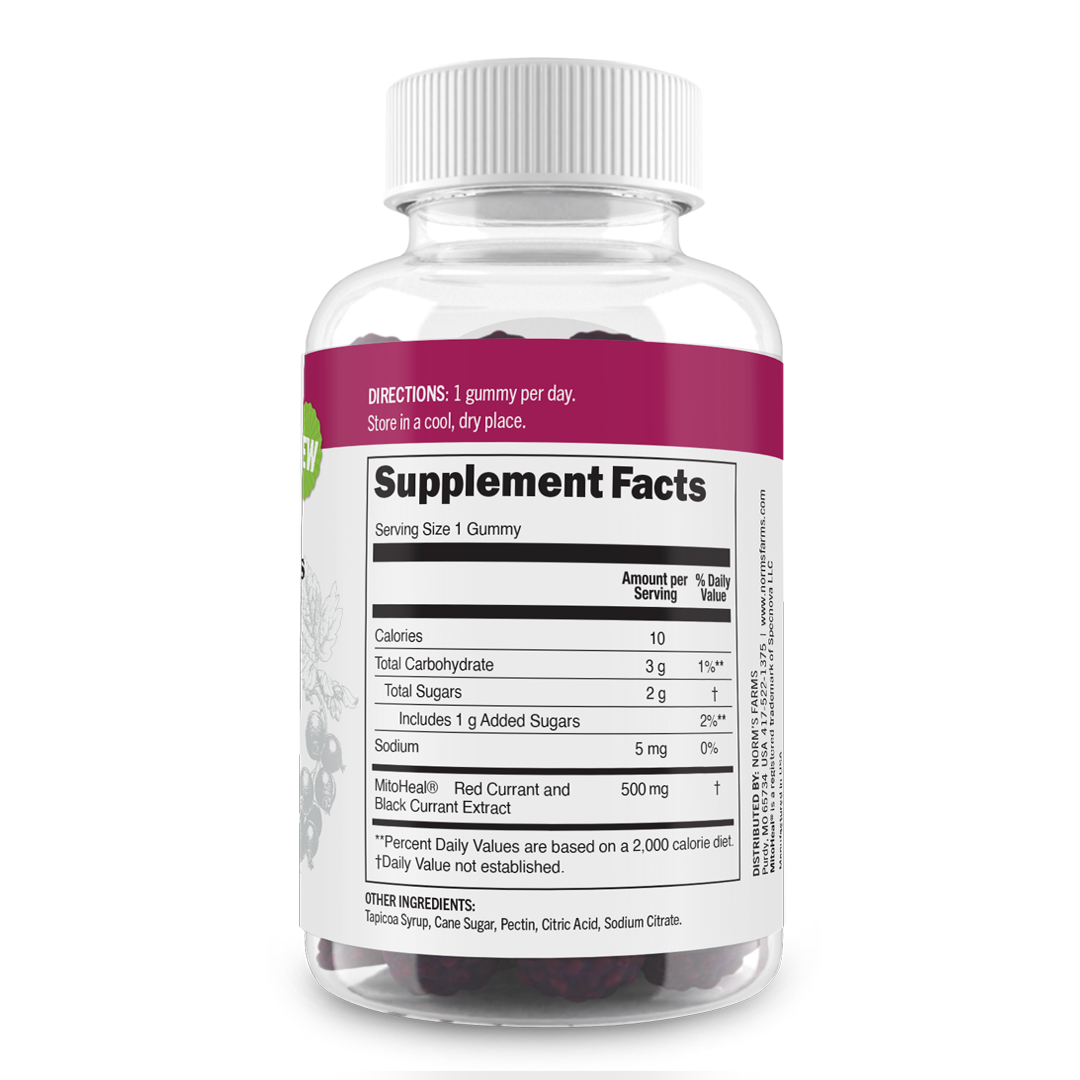 Elderberry and Red + Black Currant Gummies