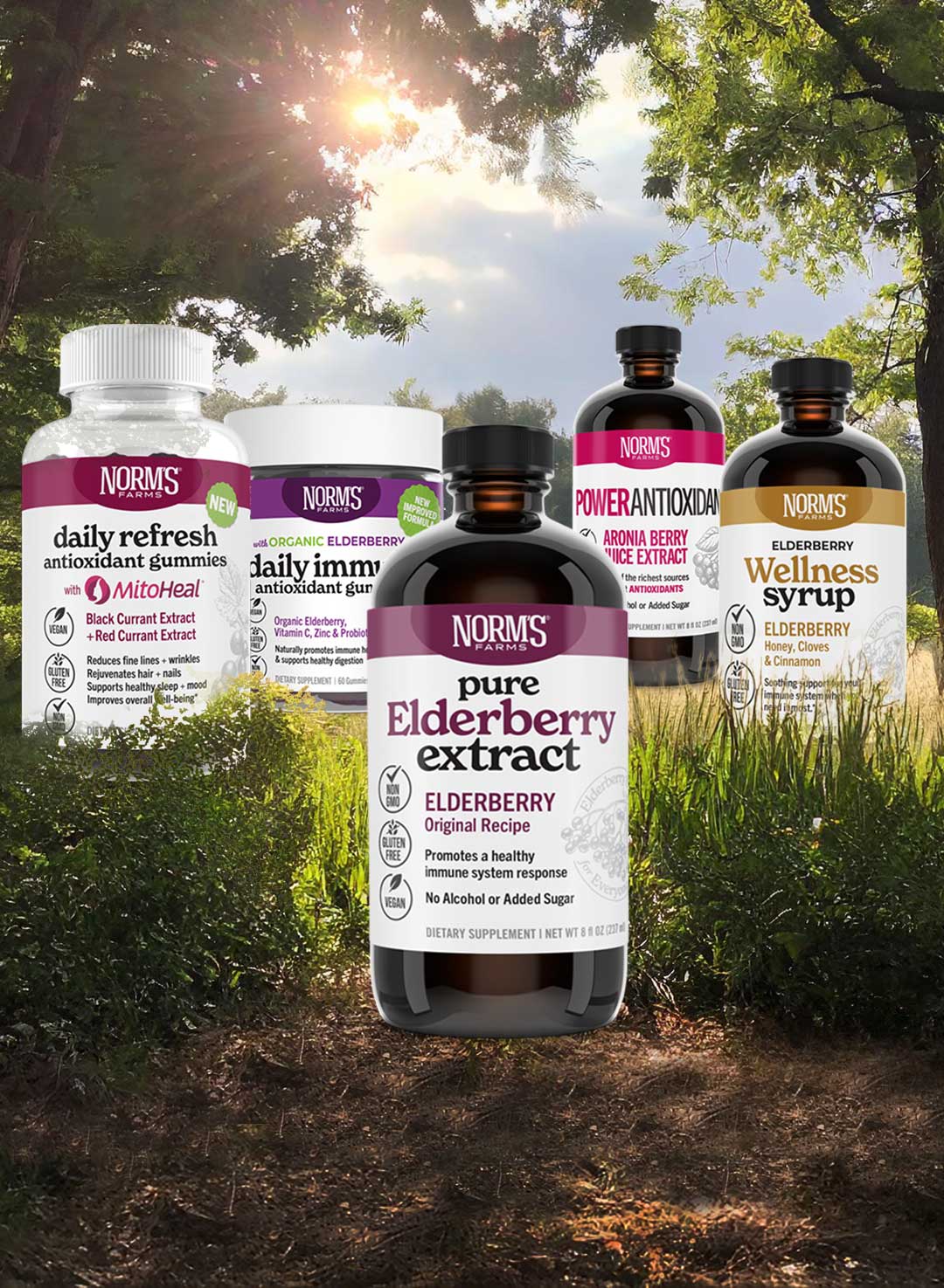 Elderberry and Red + Black Currant Gummies